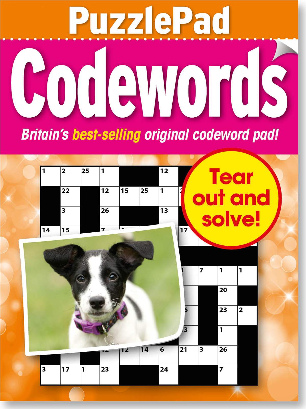 Codewords - PuzzleLife